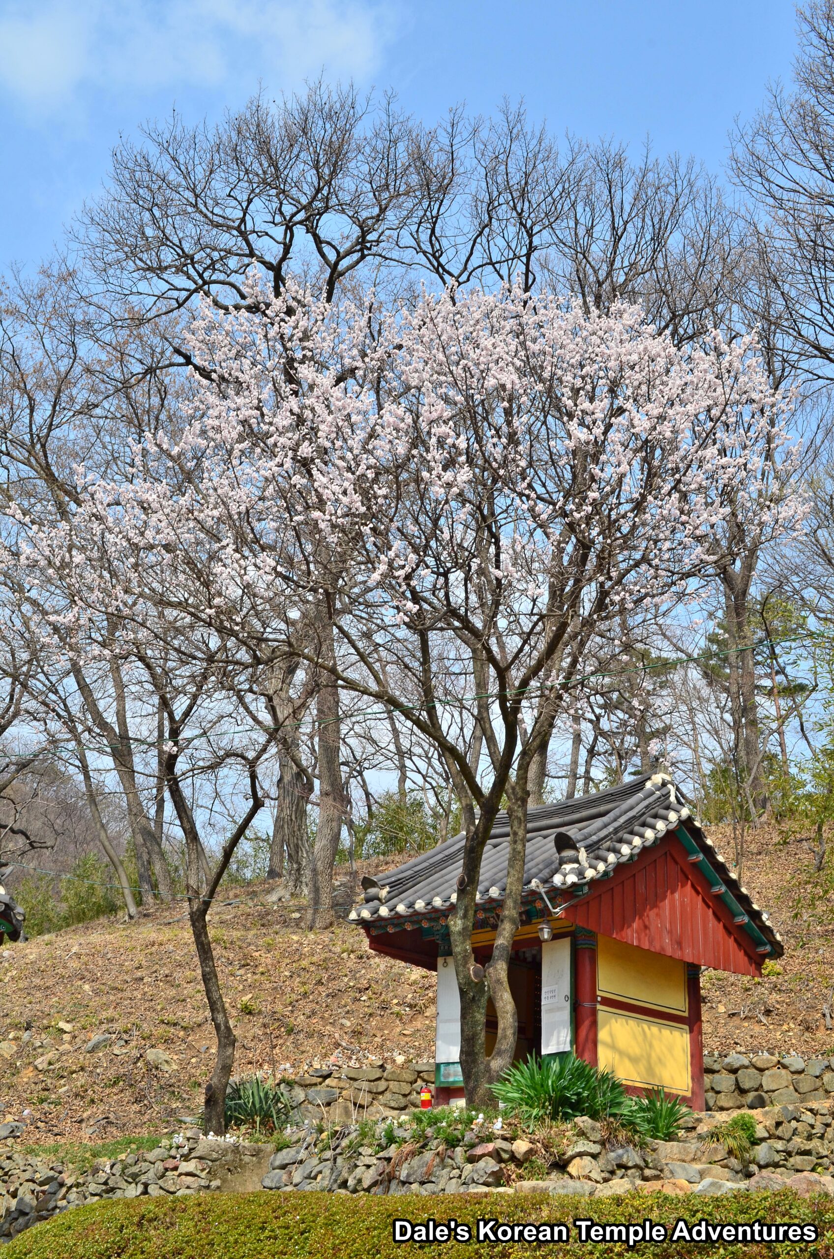 Oeosa Temple – 오어사 (Pohang, Gyeongsangbuk-do) - Dale's Korean Temple ...